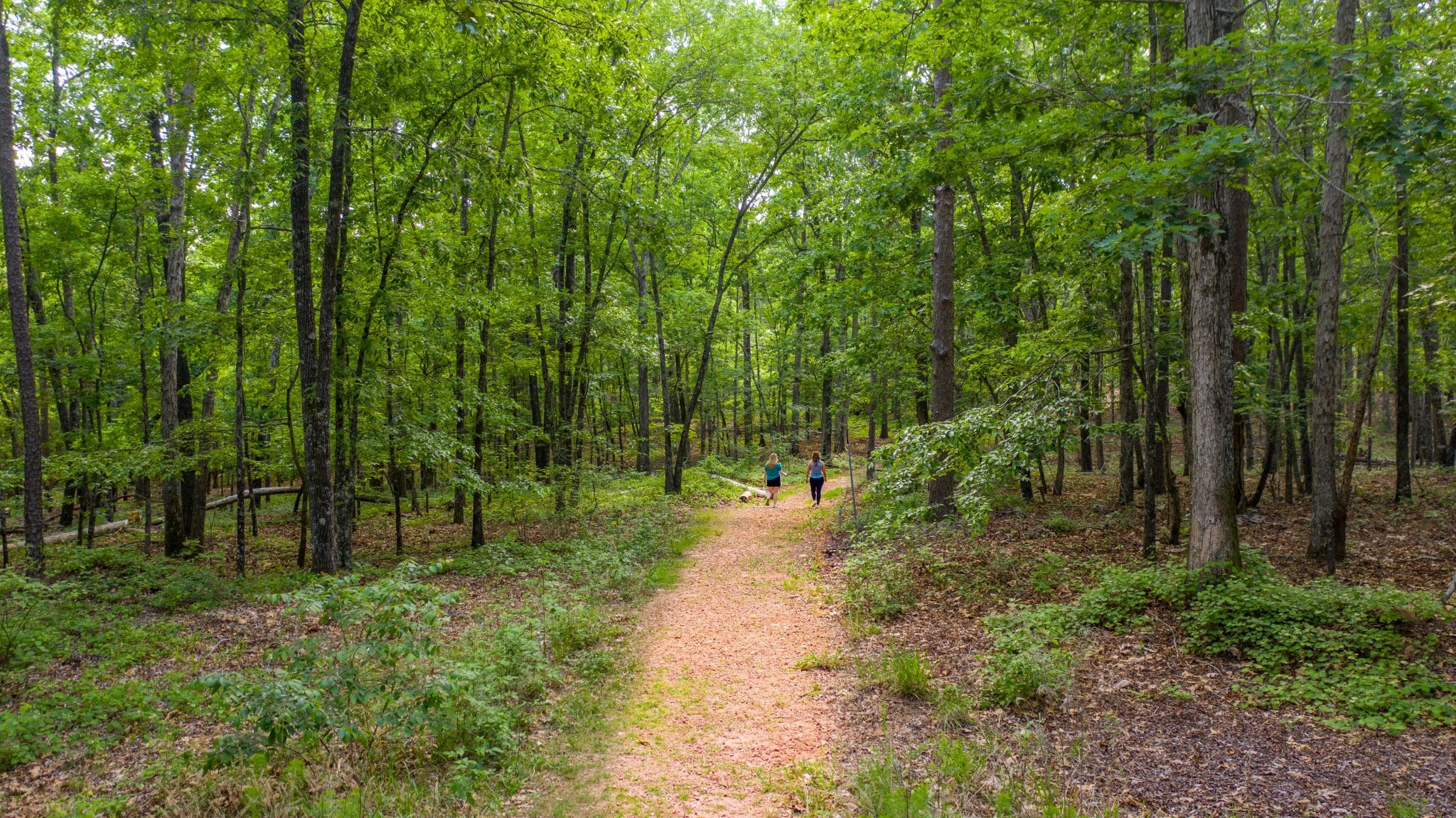 Eatonton & Putnam County, Georgia